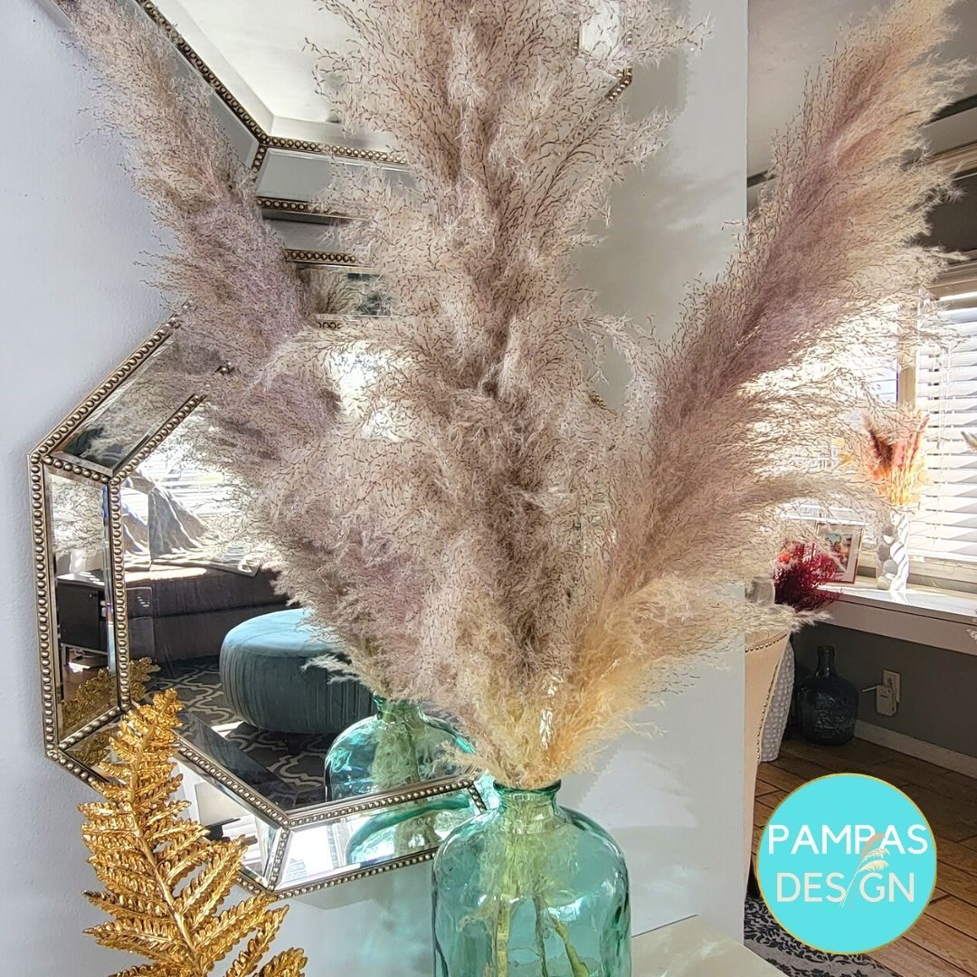 Pampas Design | All About Pampas Grass- Dried Pampas Grass - Pampas ...